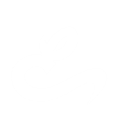 Texas Edge Sports > Home