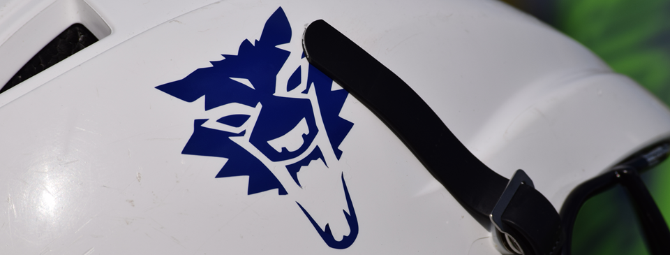 Home [tshq.bluesombrero.com]