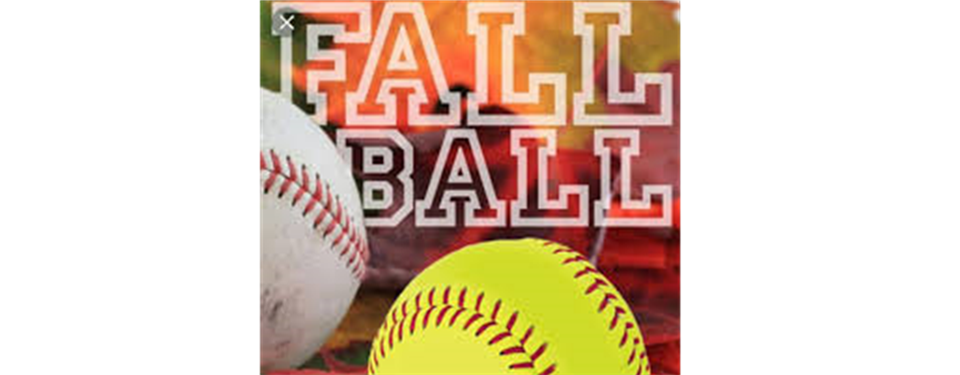 Home [tshq.bluesombrero.com]