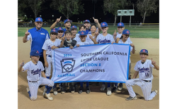 Home [tshq.bluesombrero.com]