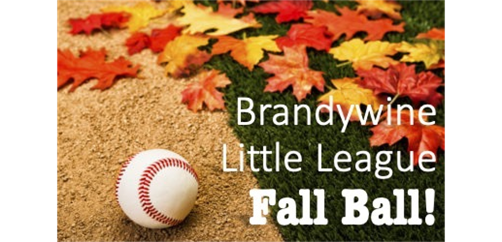 Home [tshq.bluesombrero.com]