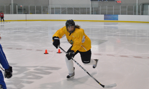 Home [tshq.bluesombrero.com]