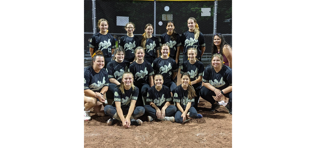 Emmett Little League (MI) > Home