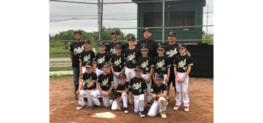 Emmett Little League (MI) > Home