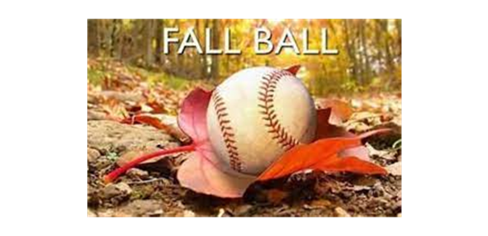 Dumfries-Triangle-Quantico Little League > Home