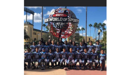 Brick City Lions > Home