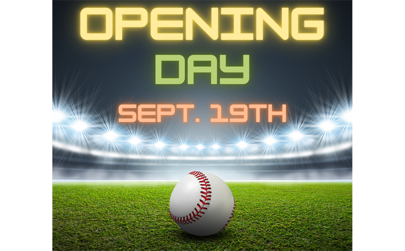 Port Saint Lucie National Little League > Home