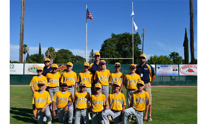 Sutter Area Little League > Home