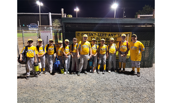Sutter Area Little League > Home