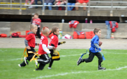 Southern Tioga Youth Football > Home