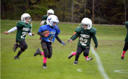 Southern Tioga Youth Football > Home