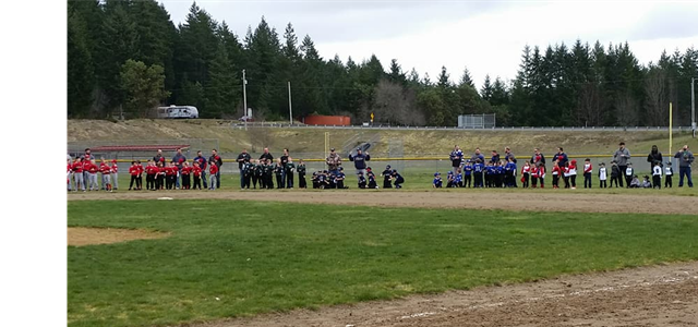 North Mason Little League > Home