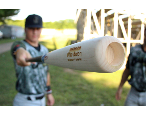 Bison Baseball > Home