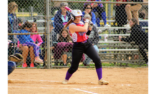 South Elgin Wildcat Softball > Home