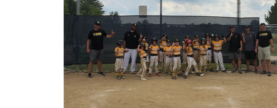 Medina Sting Travel Baseball > Home