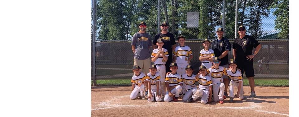 Medina Sting Travel Baseball > Home