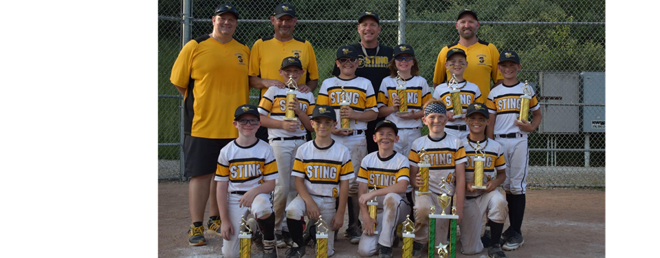 Medina Sting Travel Baseball > Home