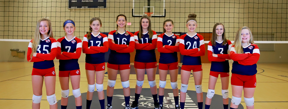 Palmetto Force Volleyball Club > Home