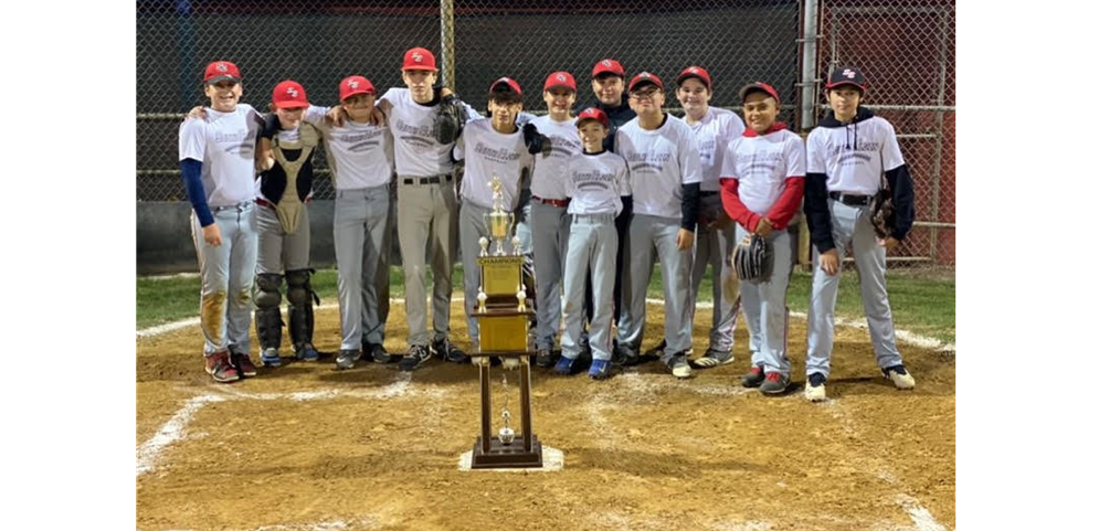 South Elgin Little League > Home